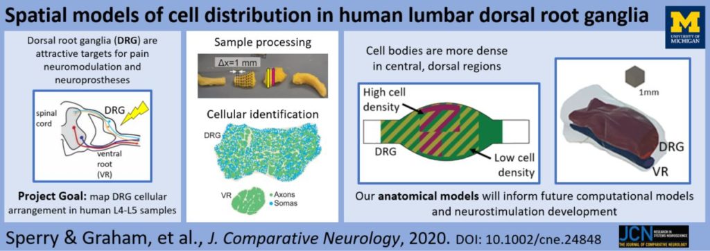 Neural Interfaces – Peripheral Neural Engineering and Urodynamics Lab